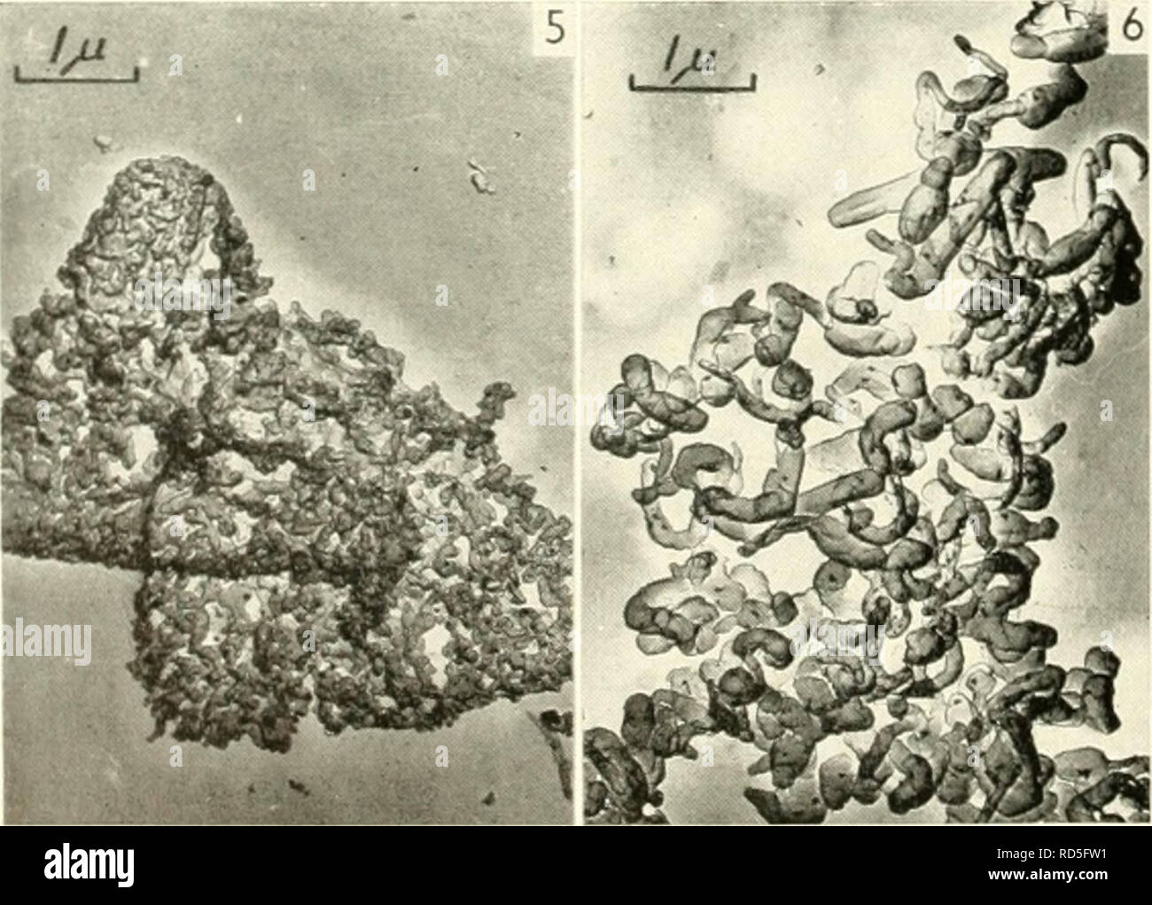 Silver iodide hi-res stock photography and images - Alamy