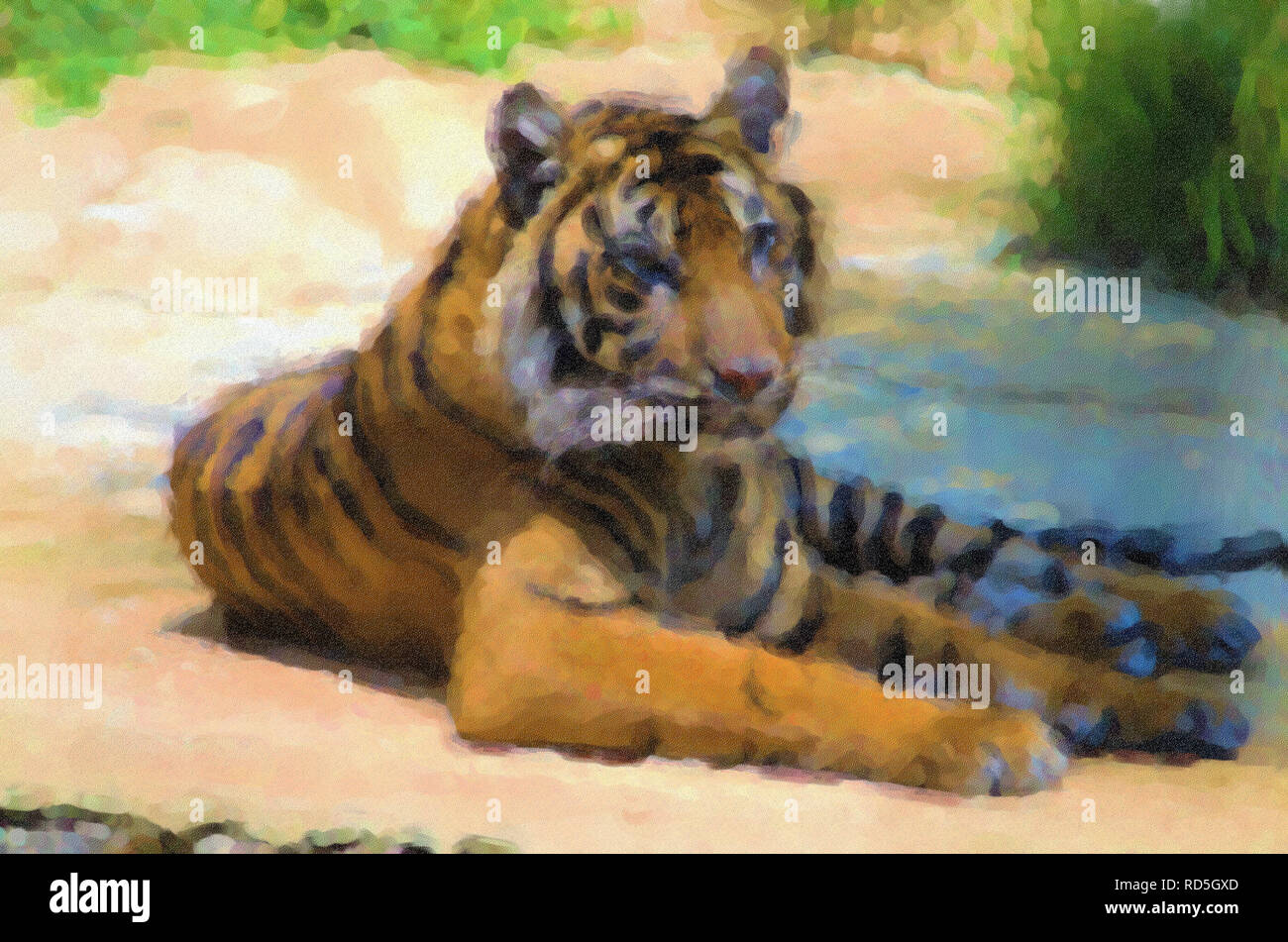 Tiger reclining hi-res stock photography and images - Alamy