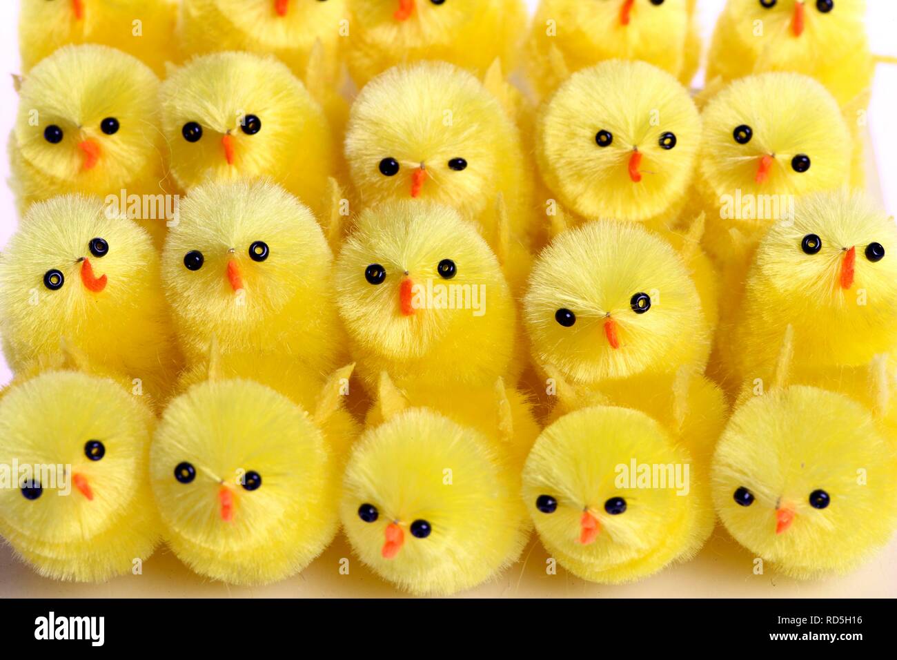 Mini chicks, Easter decorations Stock Photo - Alamy