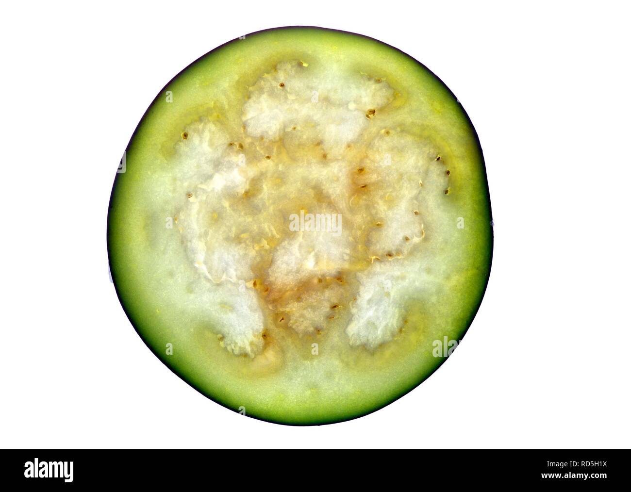 Section views Cut Out Stock Images & Pictures - Alamy