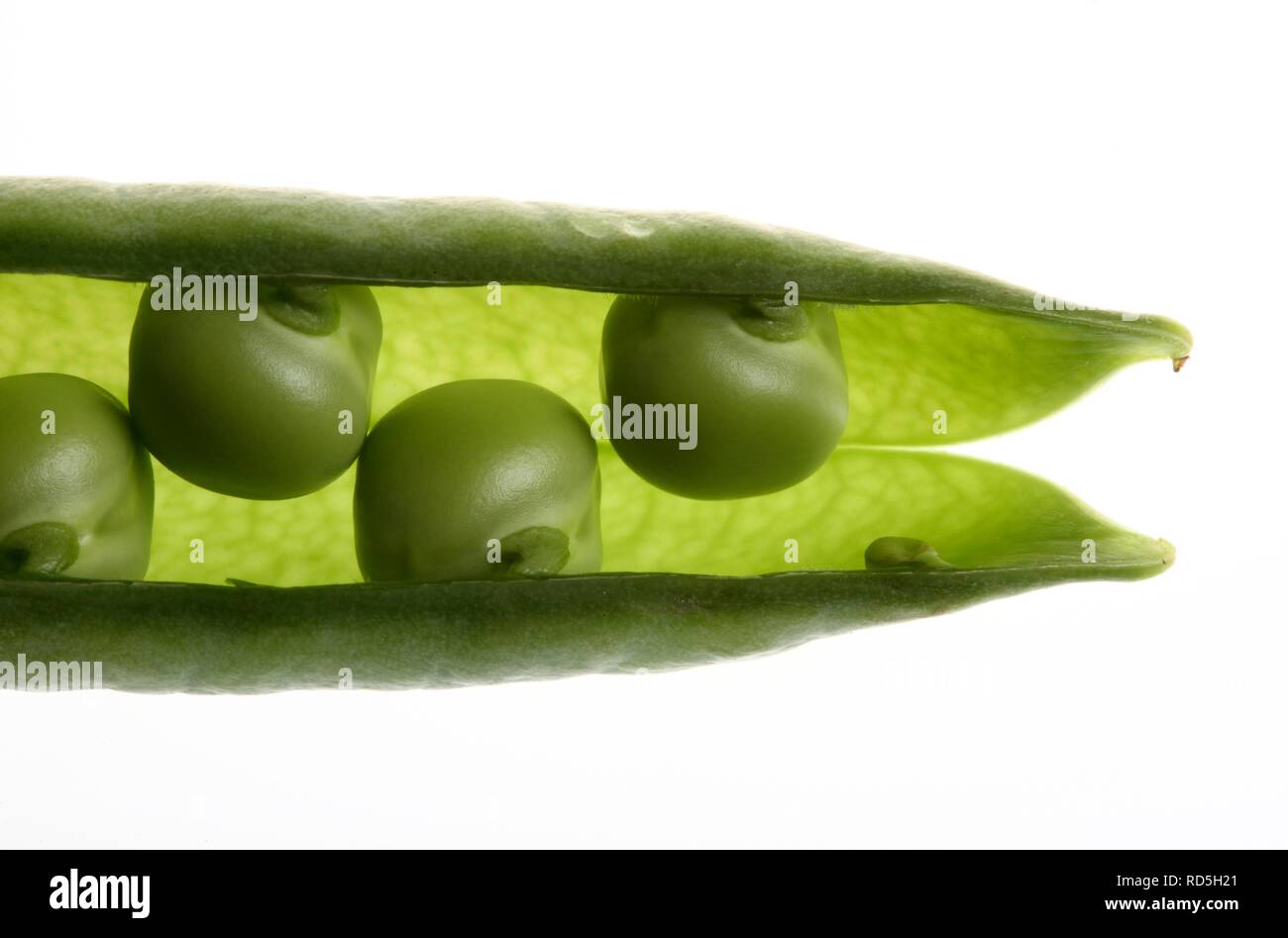 Peas (Pisum sativum) in the pod Stock Photo - Alamy