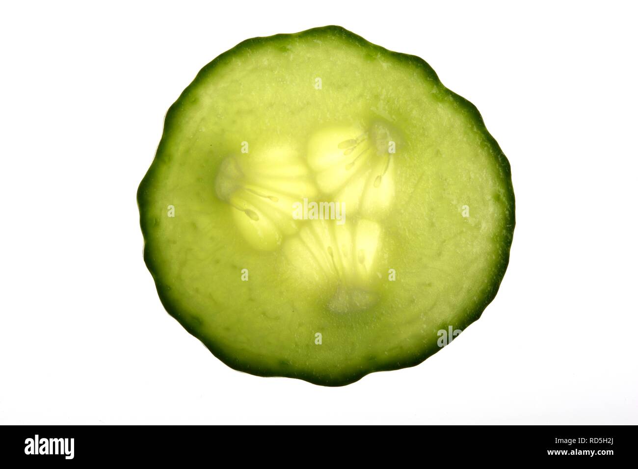 Section views Cut Out Stock Images & Pictures - Alamy