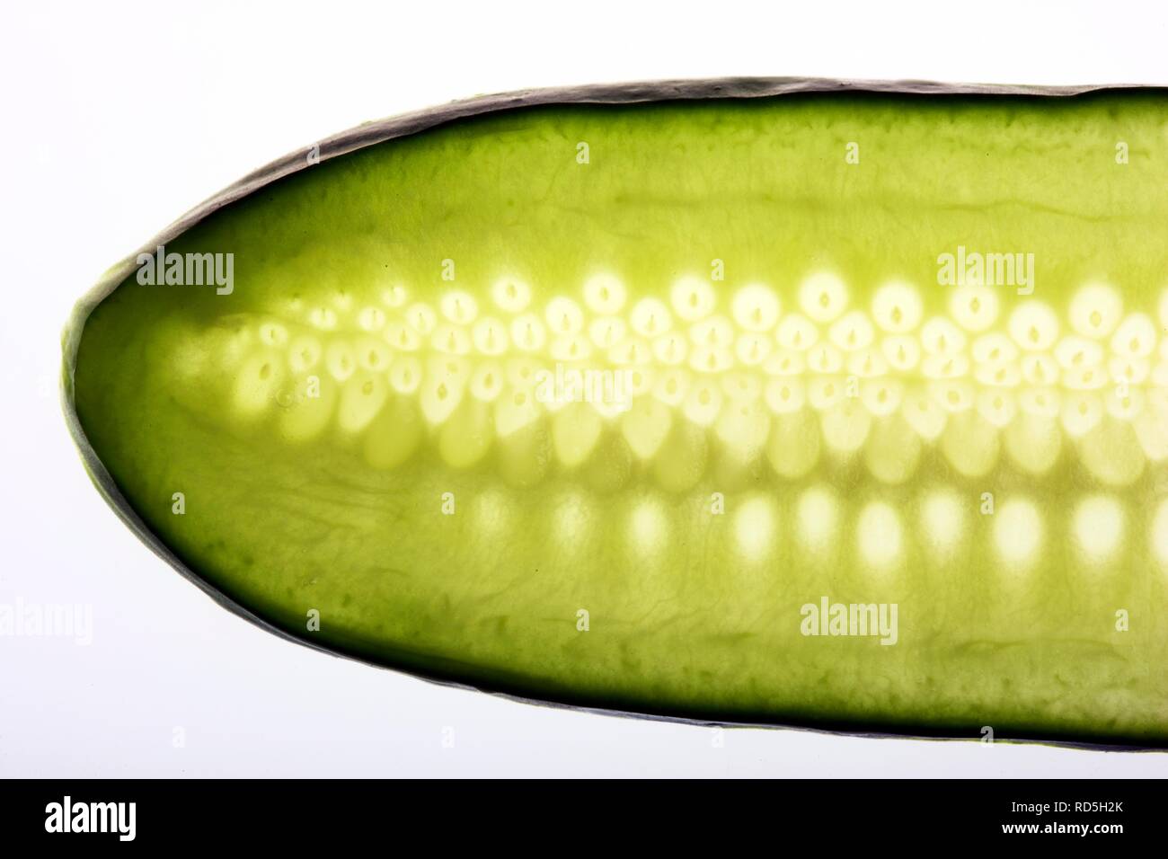 Split of cucumber hi-res stock photography and images - Alamy