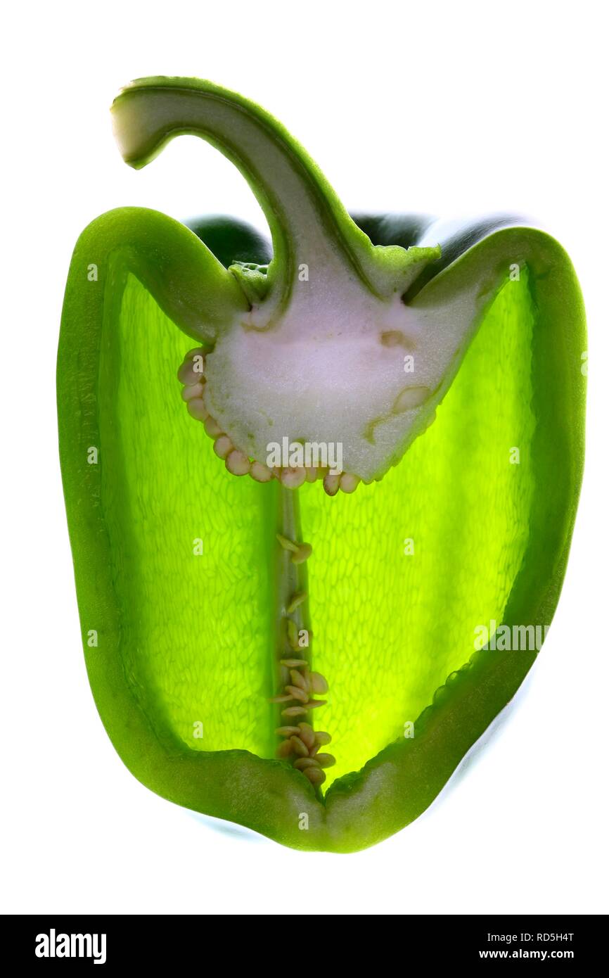 Green bell pepper half cut hi-res stock photography and images - Alamy