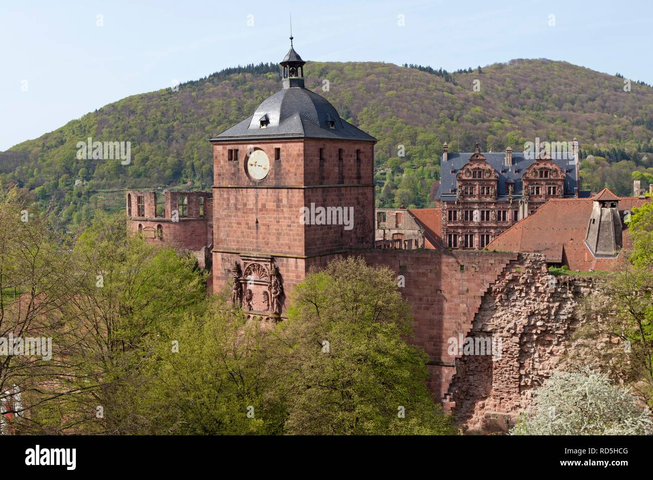 Heidelberger Schloss castle, Heidelberg, Baden-Wuerttemberg Stock Photo ...