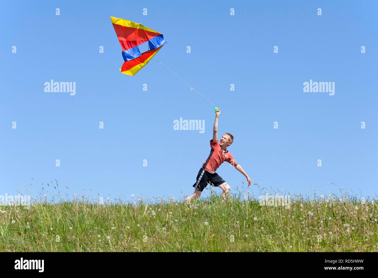 Young boy flying a kite Stock Photo - Alamy