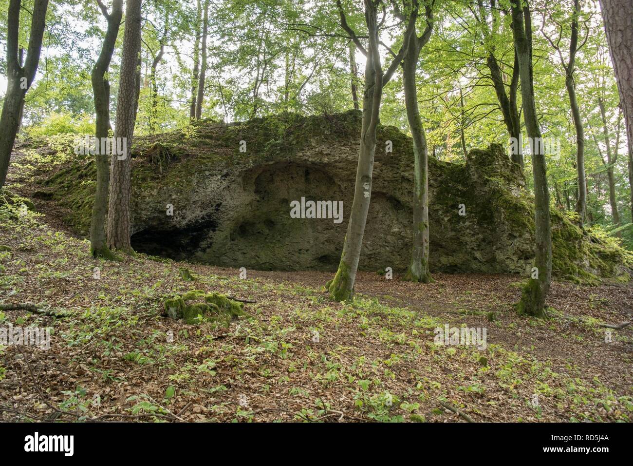 Alter Keller (D 241) 04 Stock Photo - Alamy