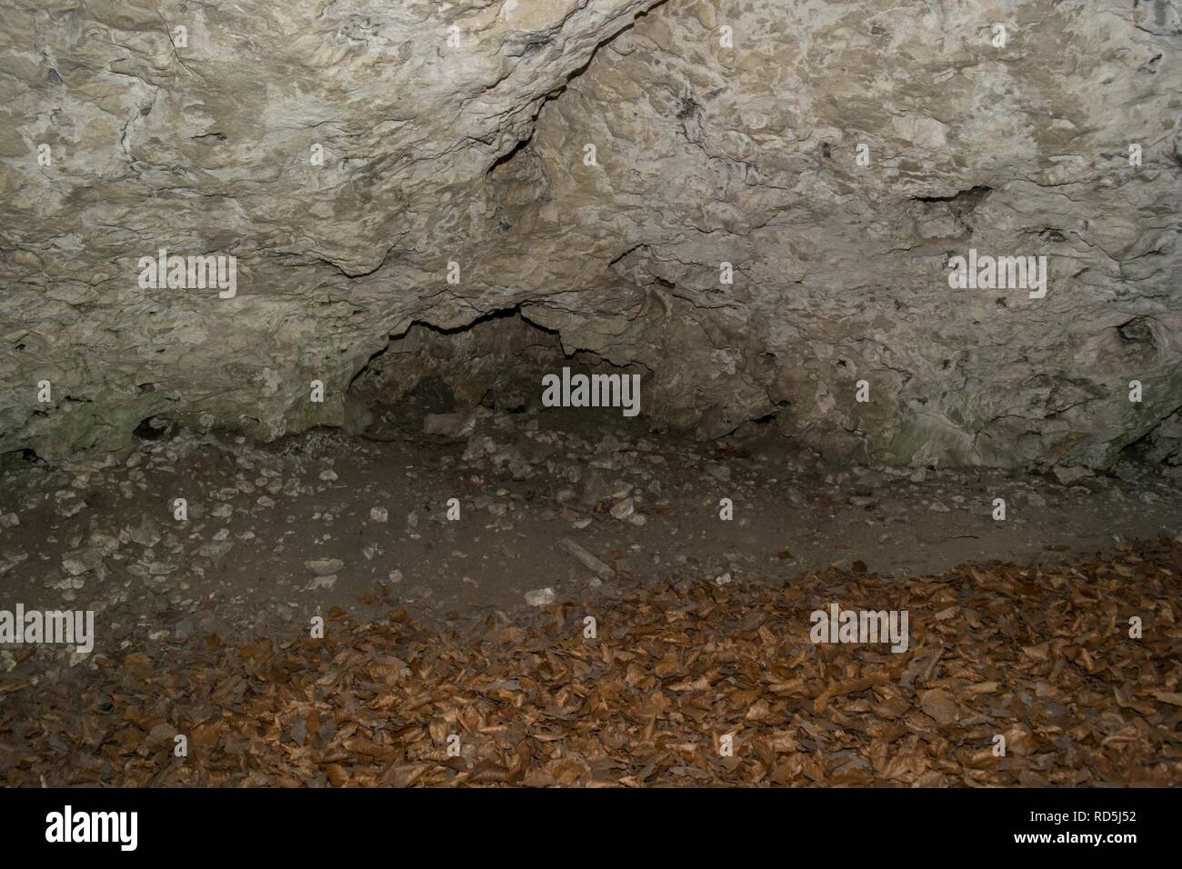 Alter Keller (D 241) 10 Stock Photo - Alamy