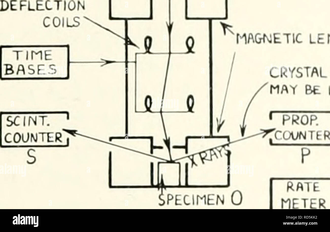 Scanning Electron Microscope Ray Diagram