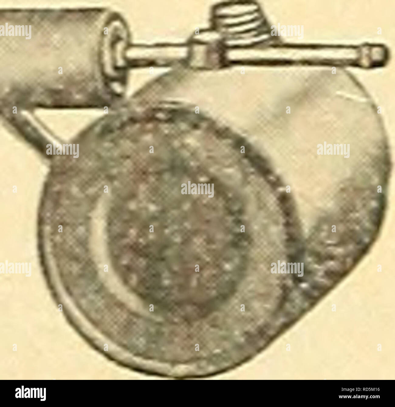 Dip tank cattle hi-res stock photography and images - Alamy