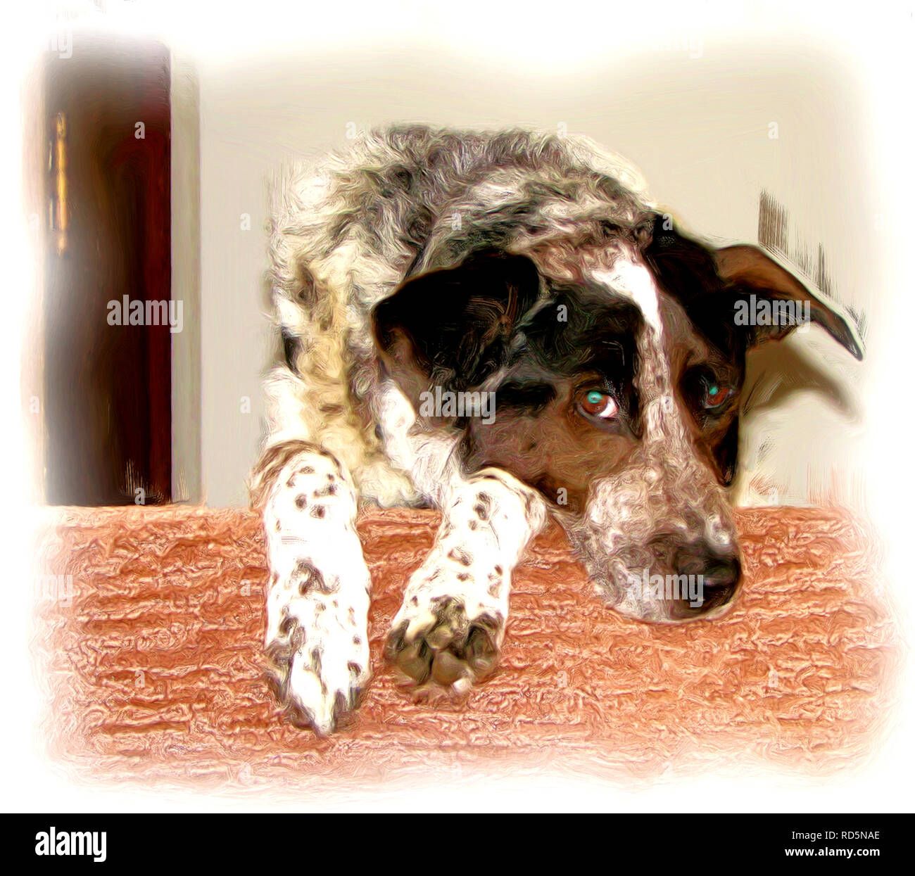 Illustration of Dog Reclining Stock Photo - Alamy