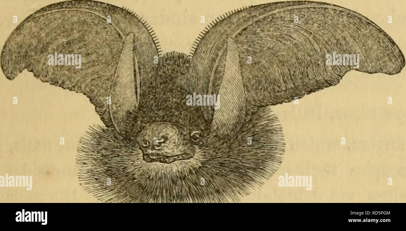 . Cuvier's animal kingdom : arranged according to its organization ...