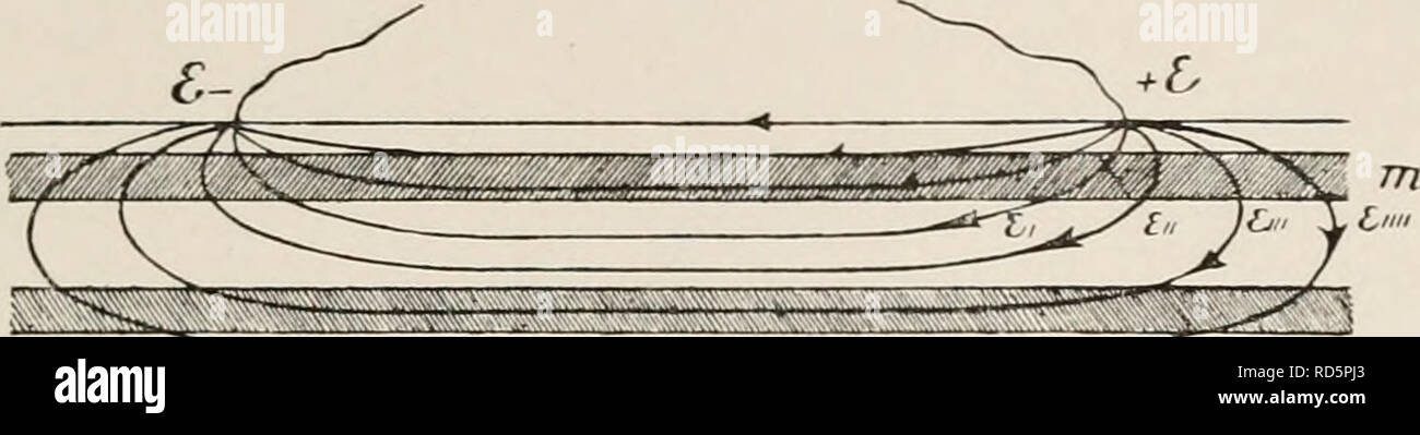 . Electro-physiology. Electrophysiology. in ELECTRICAL EXCITATION OF ...
