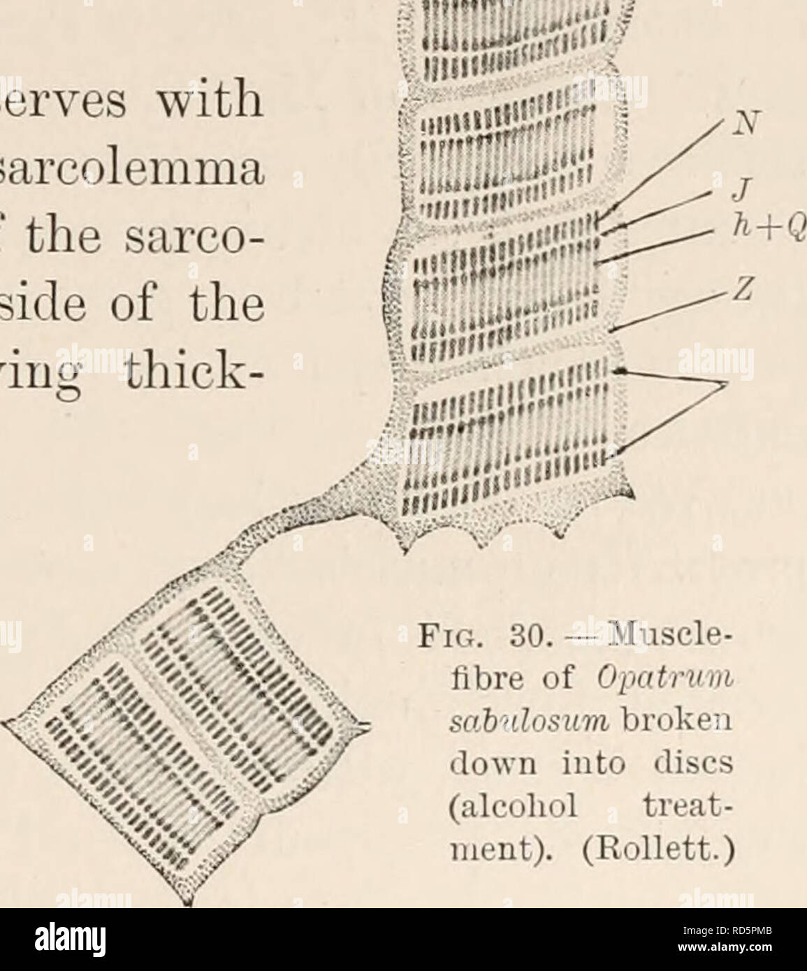 Transverse partition hi-res stock photography and images - Alamy