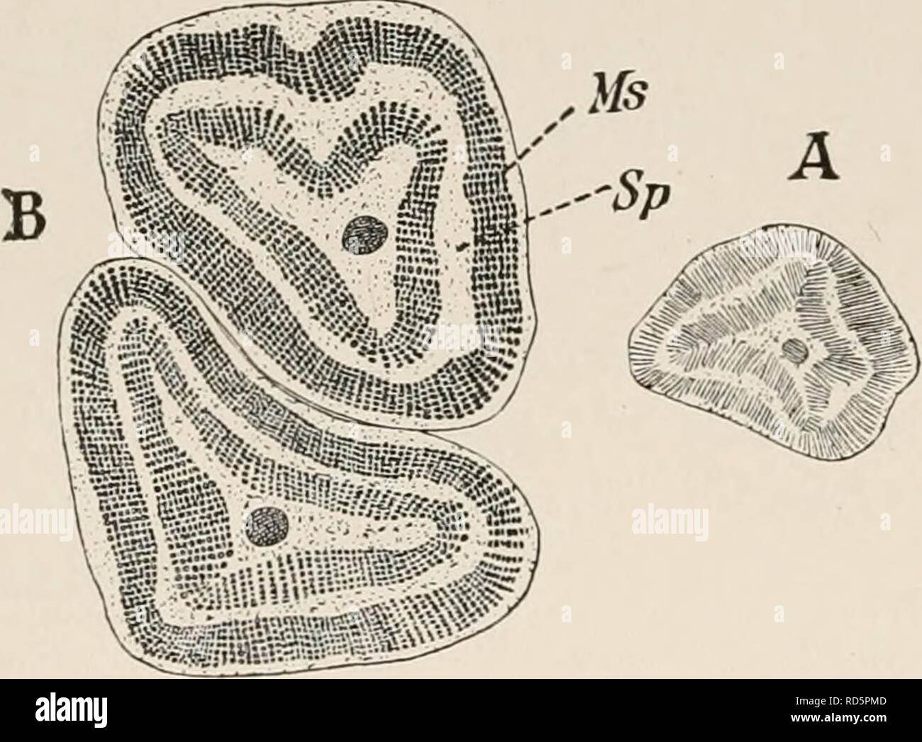 Optical fibres connecting hi-res stock photography and images - Alamy