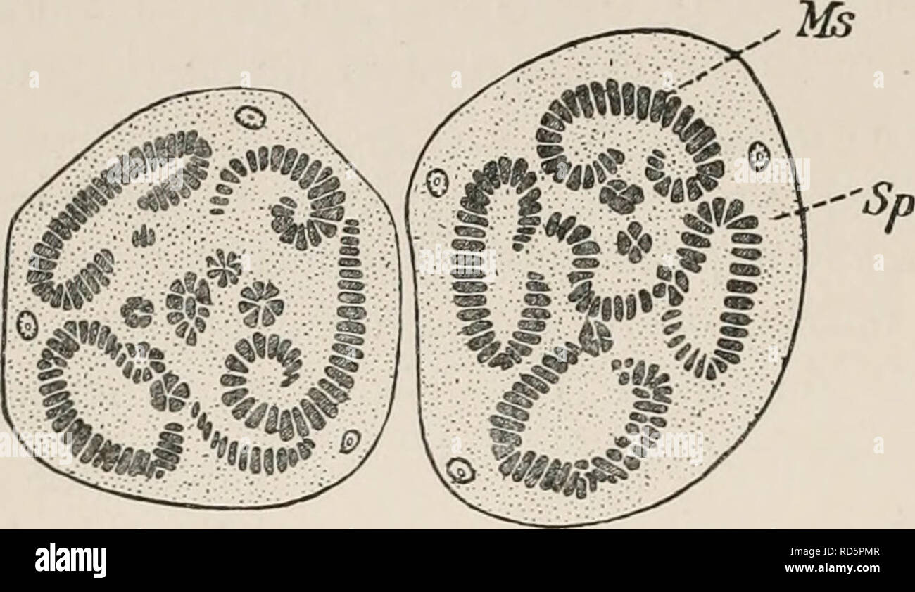 . Electro-physiology. Electrophysiology. 30 ELECTRO-PHYSIOLOGY CHAP ...