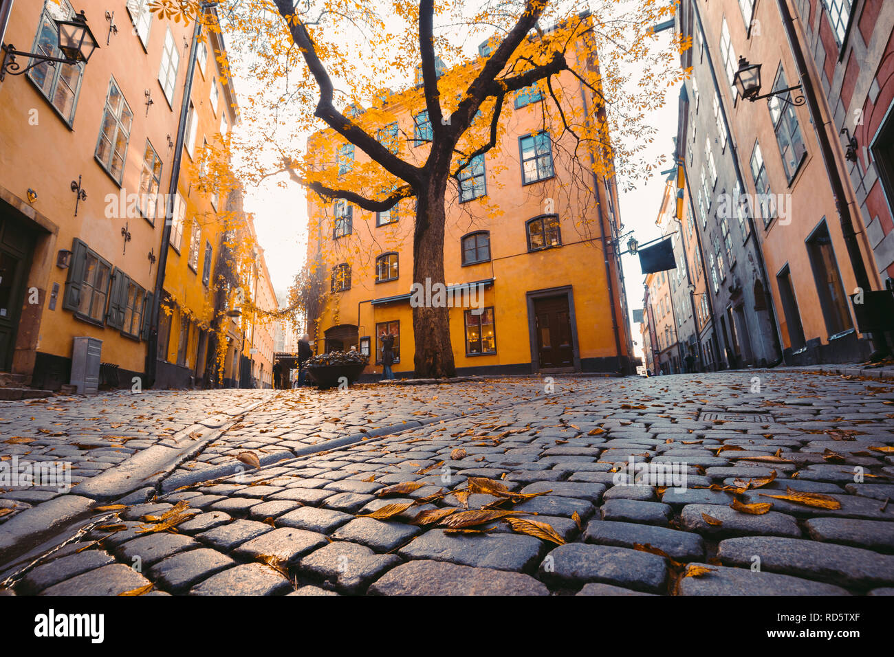 Gamla stan sunset hi-res stock photography and images - Alamy