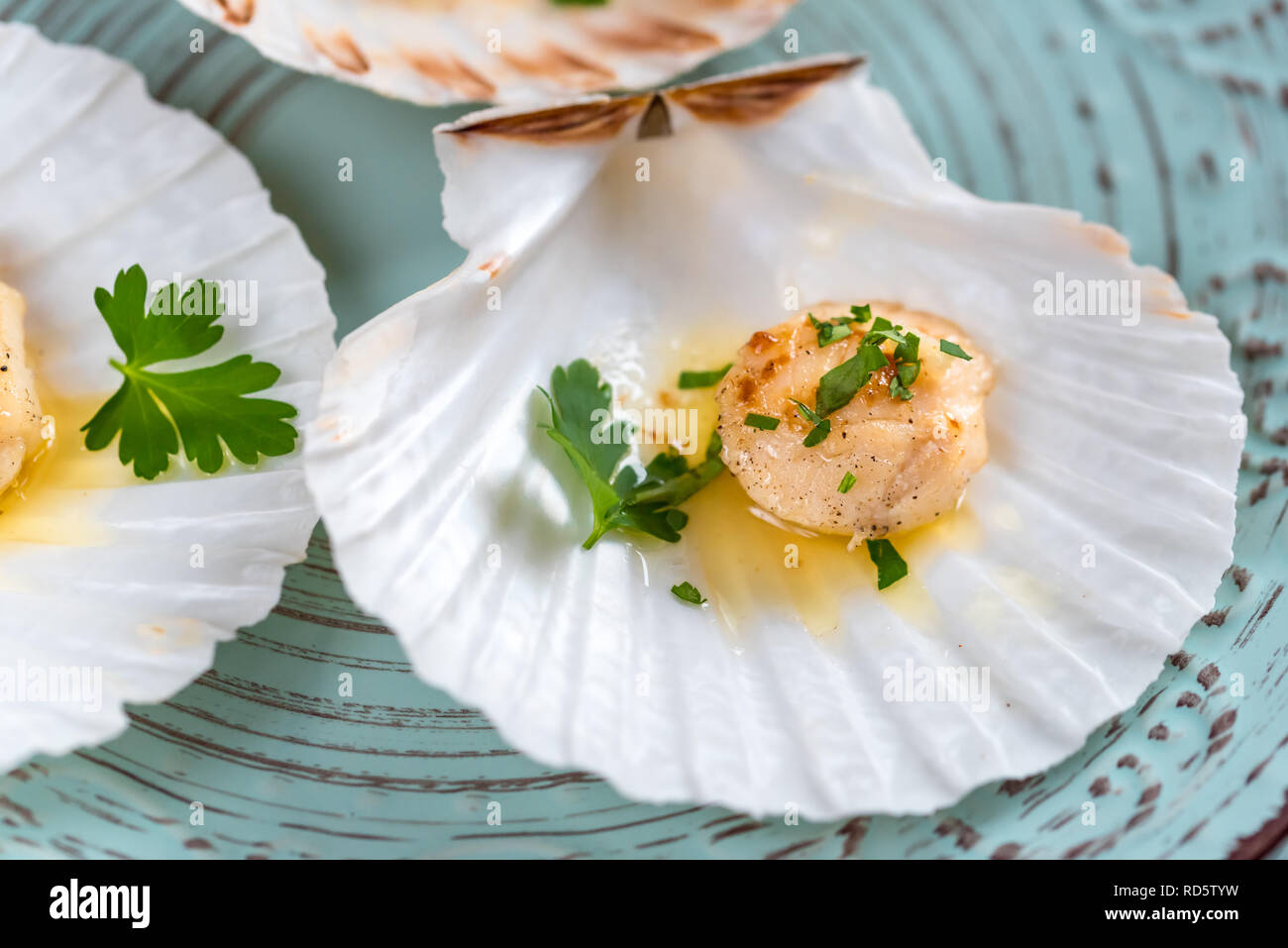 Seared scallops shell with butter, garlic and parsley Stock Photo - Alamy