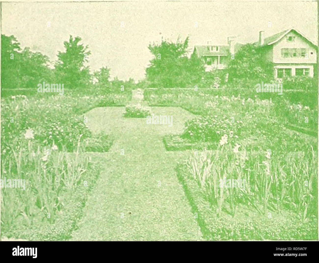 Grass nd plants hi-res stock photography and images - Alamy