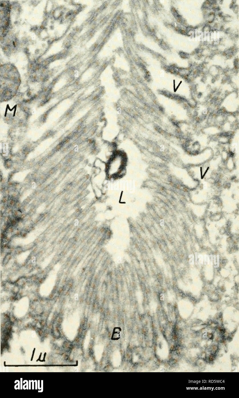 . Electron microscopy; proceedings of the Stockholm Conference ...
