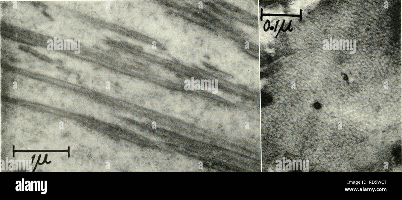 . Electron microscopy; proceedings of the Stockholm Conference ...