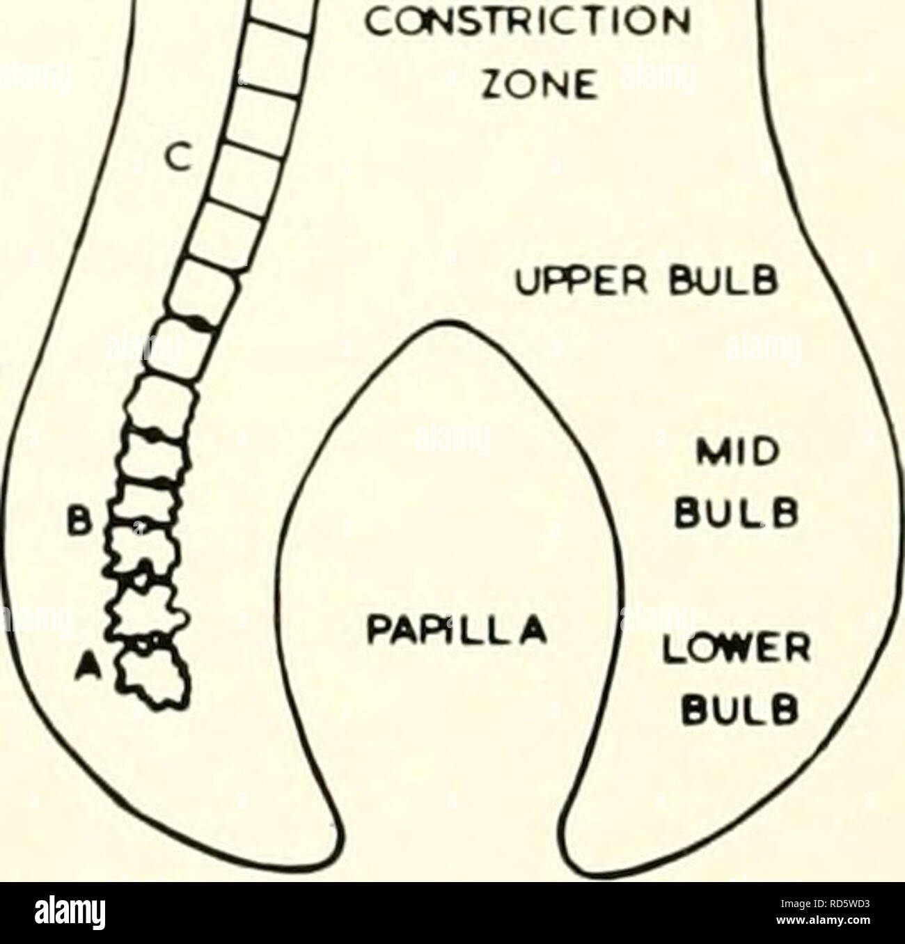. Electron microscopy; proceedings of the Stockholm Conference ...