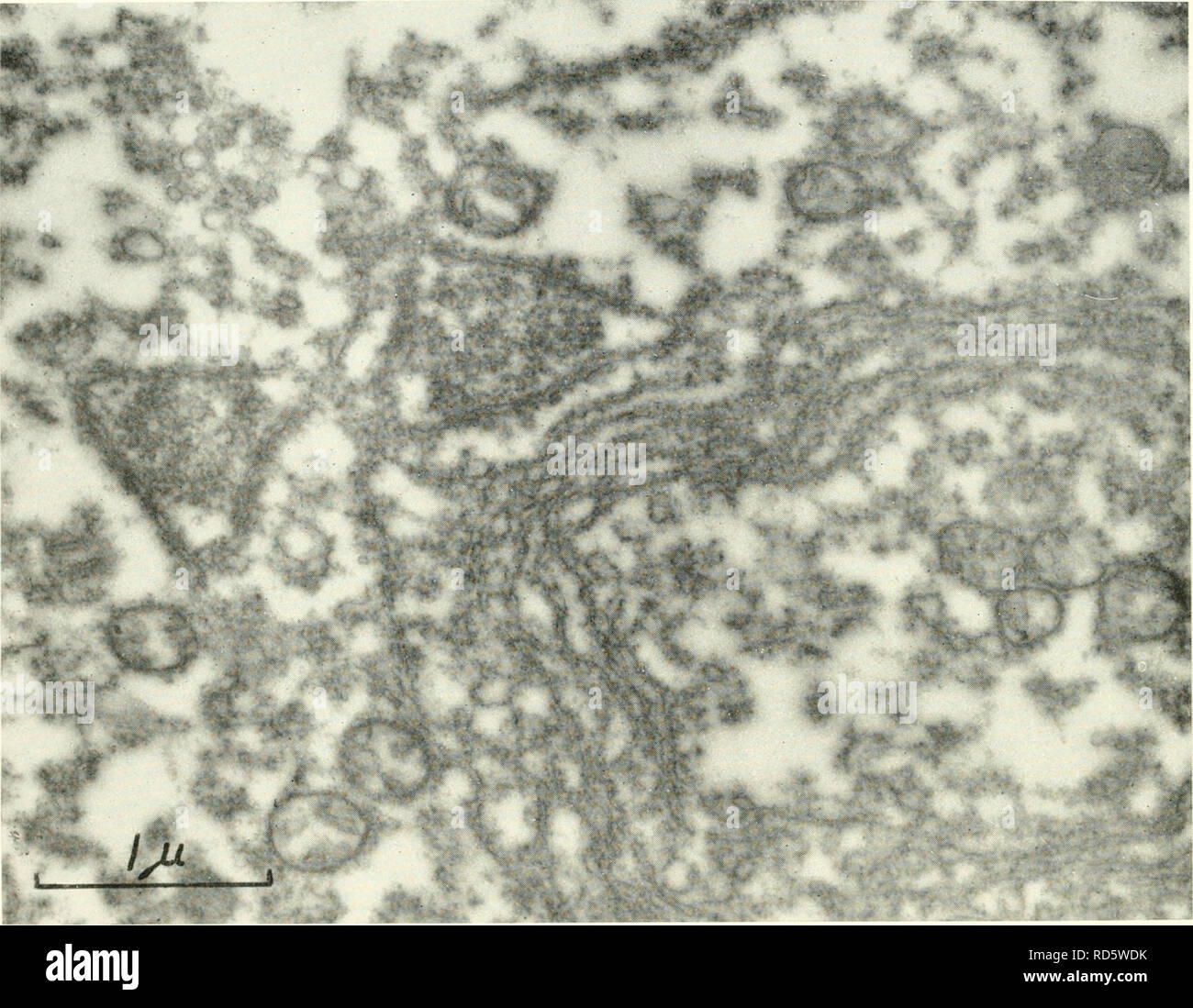 . Electron microscopy; proceedings of the Stockholm Conference ...