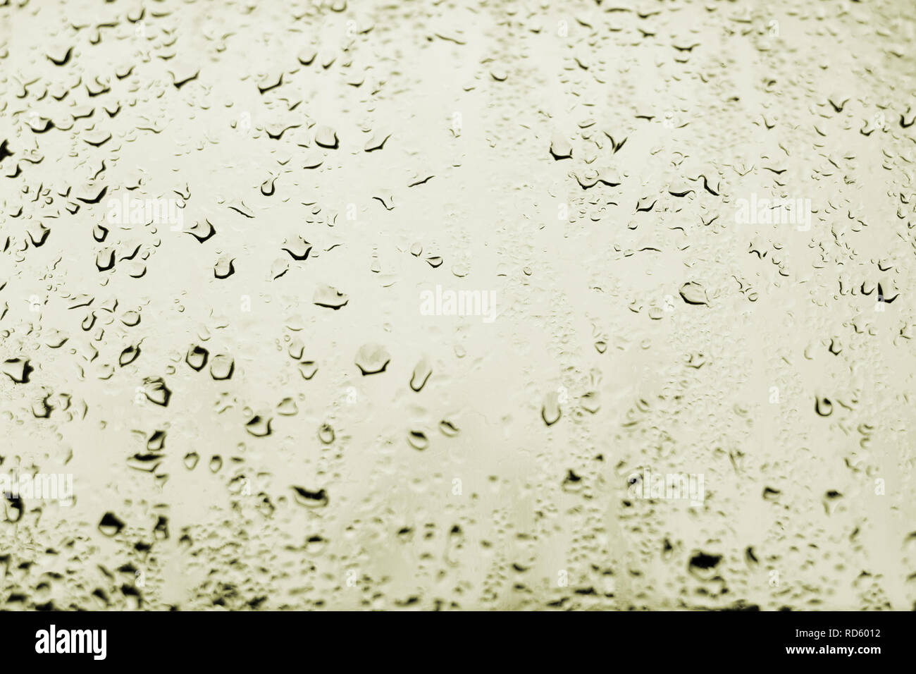 High contrast photo of drops of rain on a window glass with light pale ...