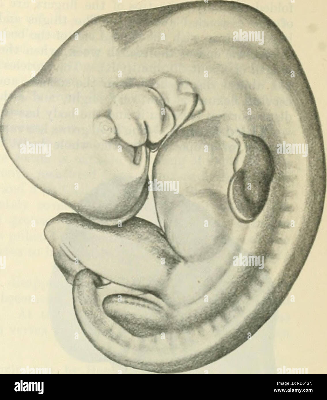 Cunninghams bar hi-res stock photography and images - Alamy