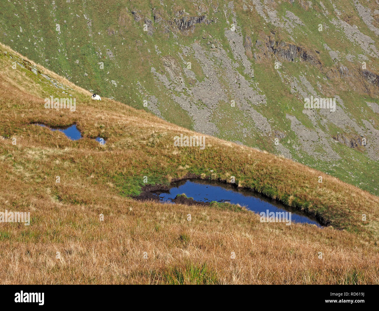 spectacular landscape with small tarns viewed from High Street over ...