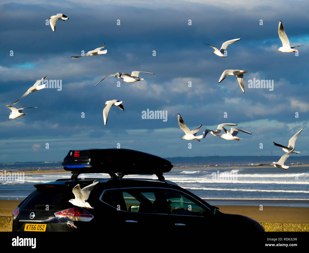 Coatham beach hi-res stock photography and images - Alamy