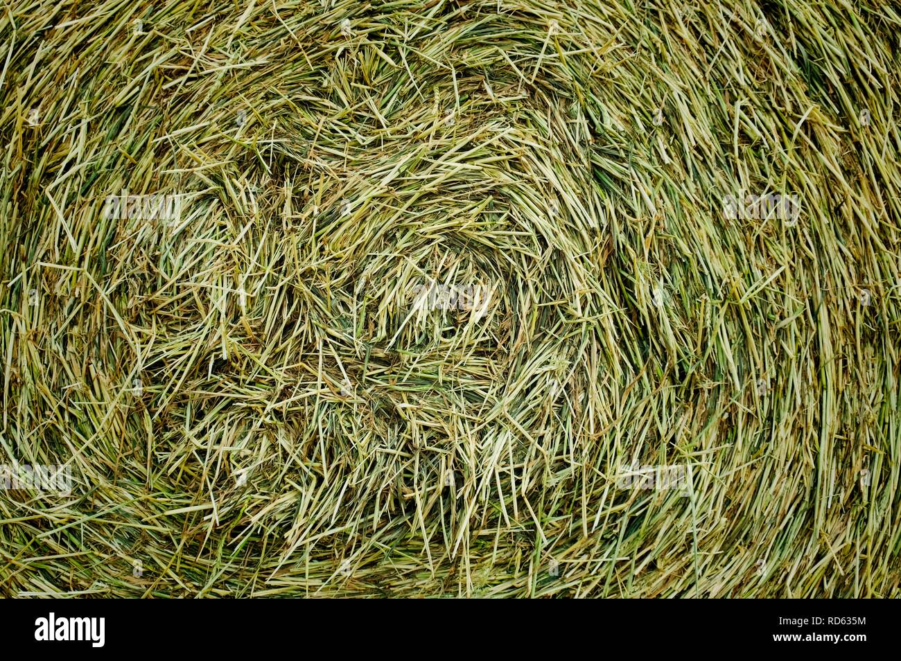 Close up of the center of a round hay bale, revealing the natural ...