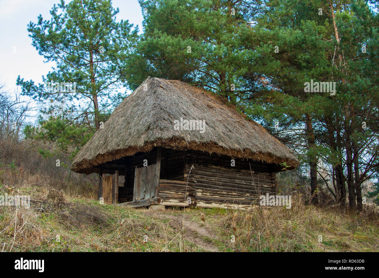 Ancient wooden barn with a straw roof in the Ukrainian national museum ...