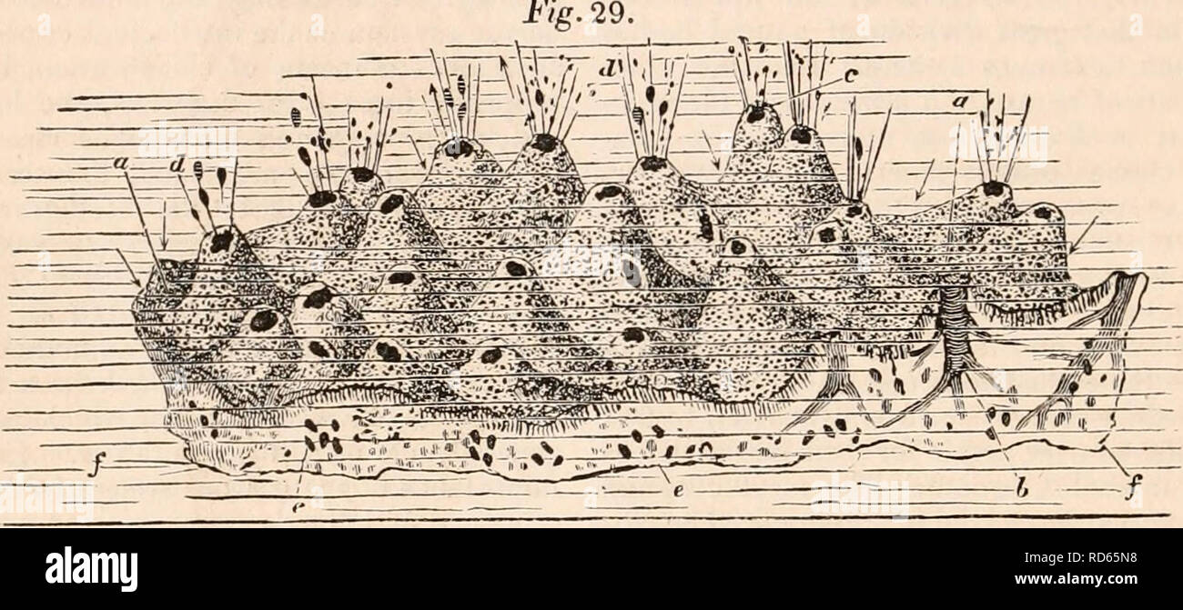 108 columns hi-res stock photography and images - Alamy