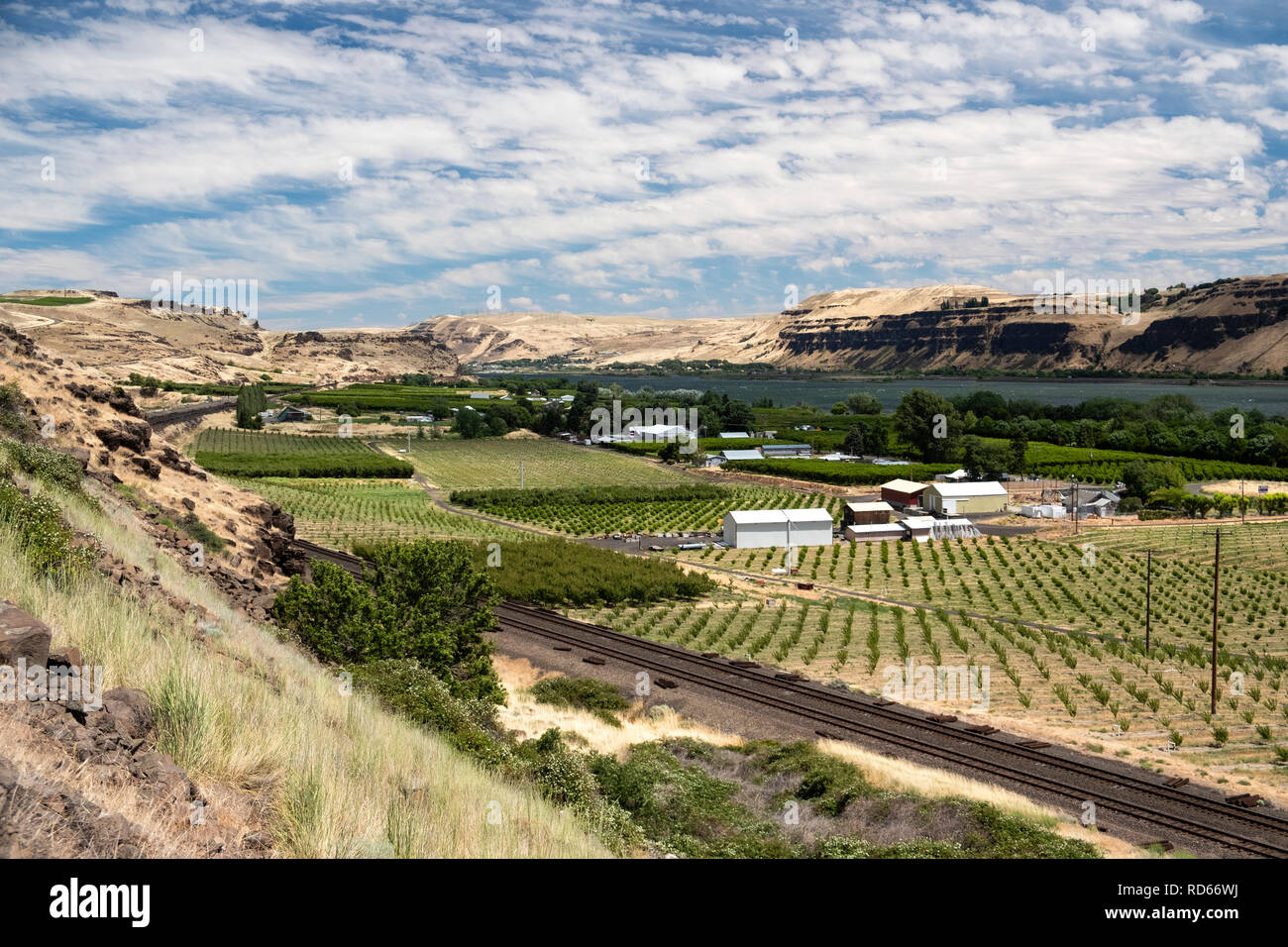 Summertime Views of the Columbia River Gorge in Washington State Stock ...