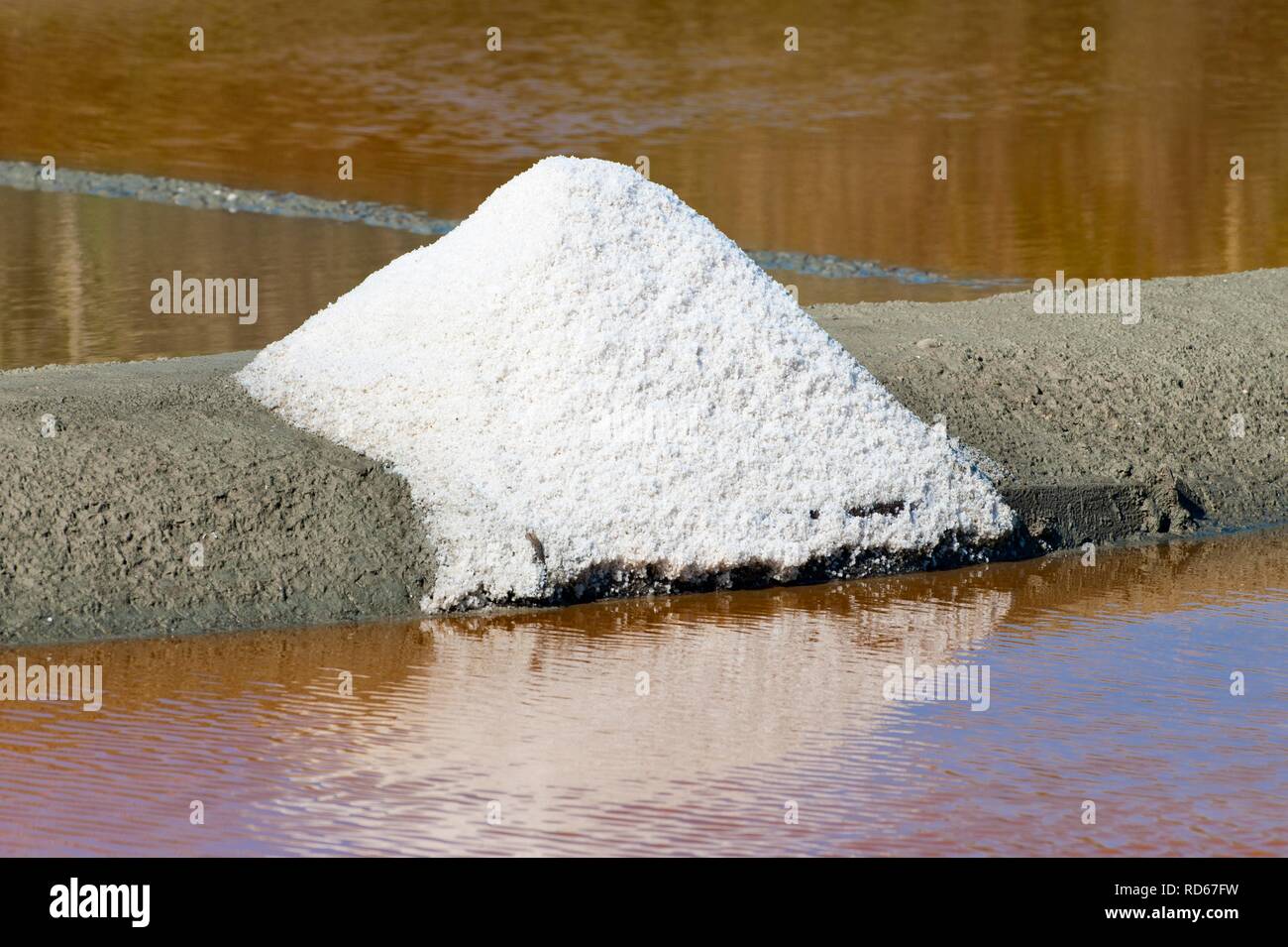 French marsh hi-res stock photography and images - Alamy