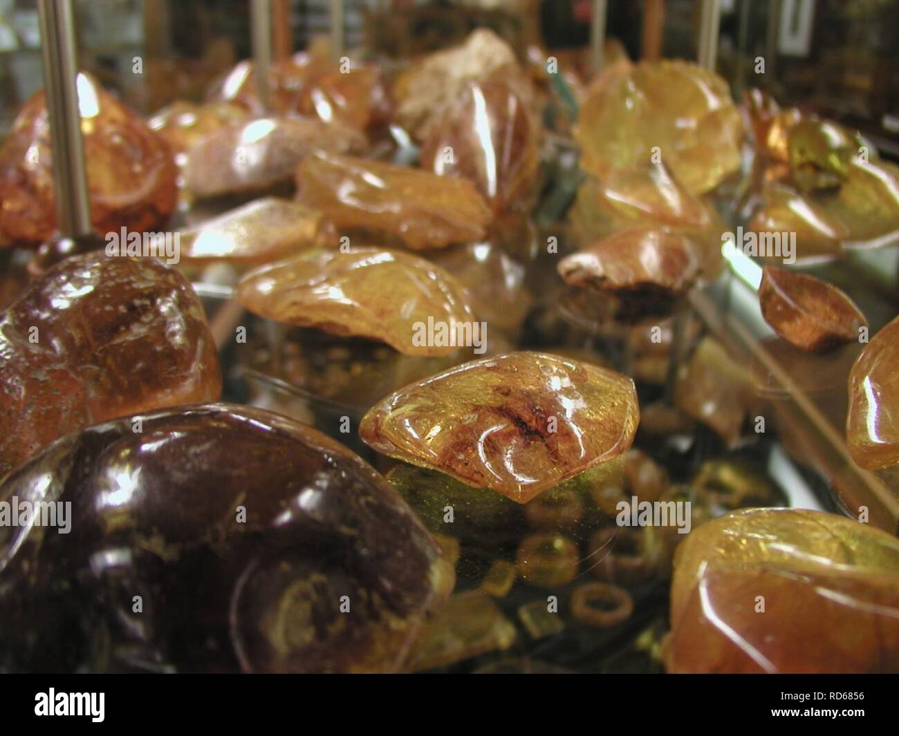Kauri gum hi-res stock photography and images - Alamy