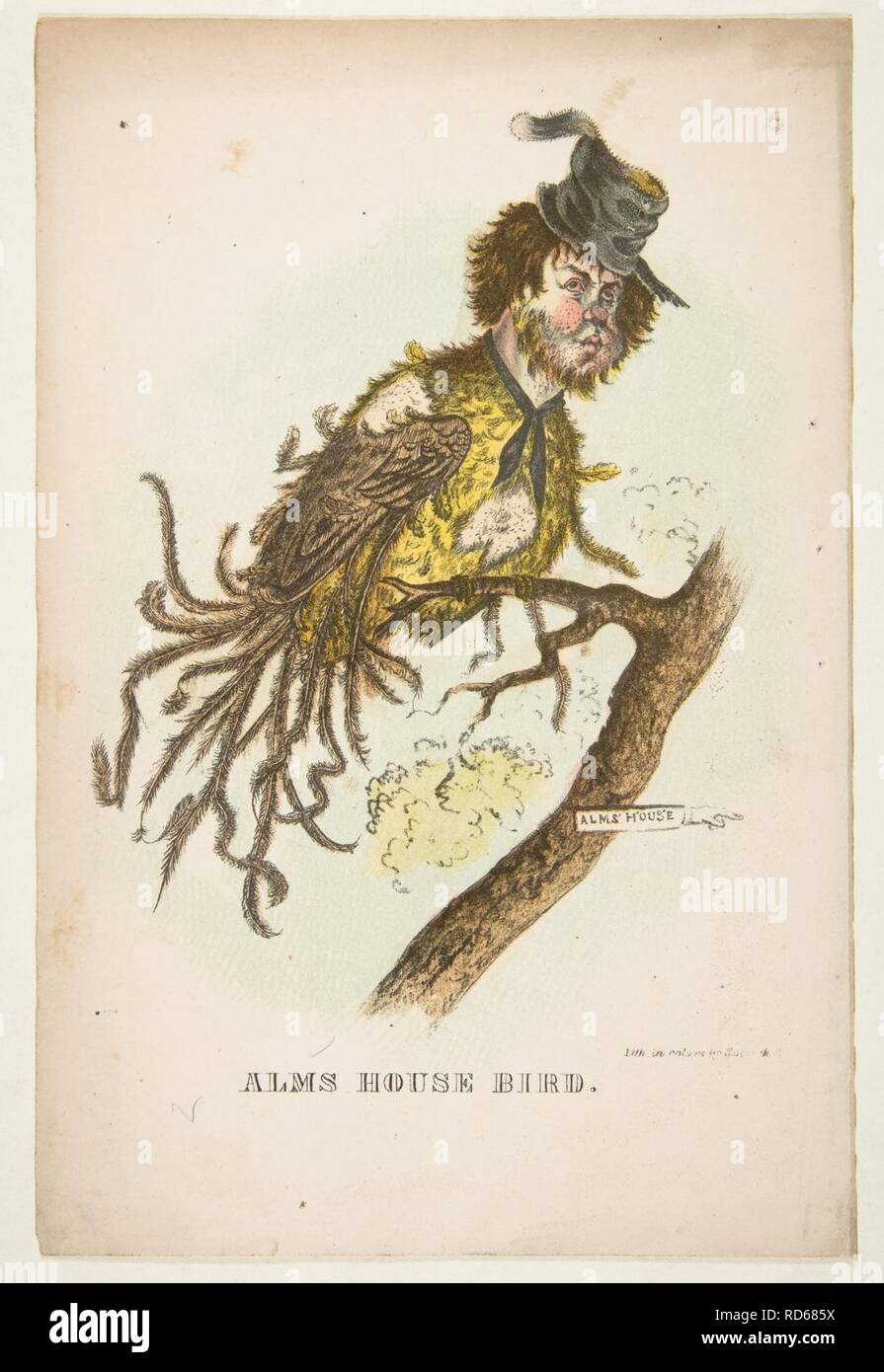 Alms house bird hi-res stock photography and images - Alamy