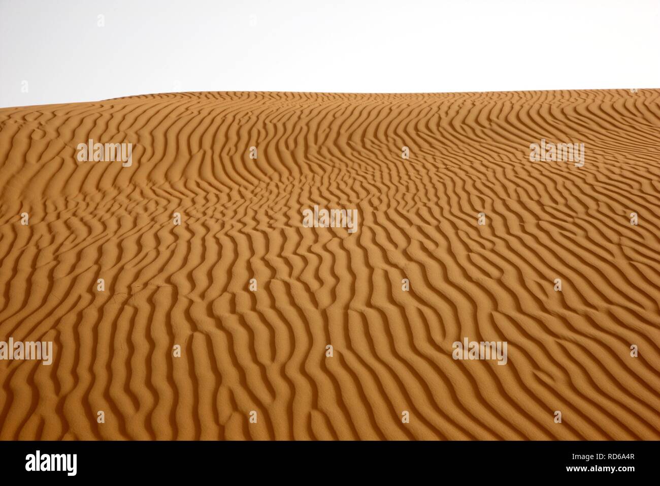 Red sand, dunes in the desert Rub'al-Khali or Empty Quarter, Abu Dhabi ...
