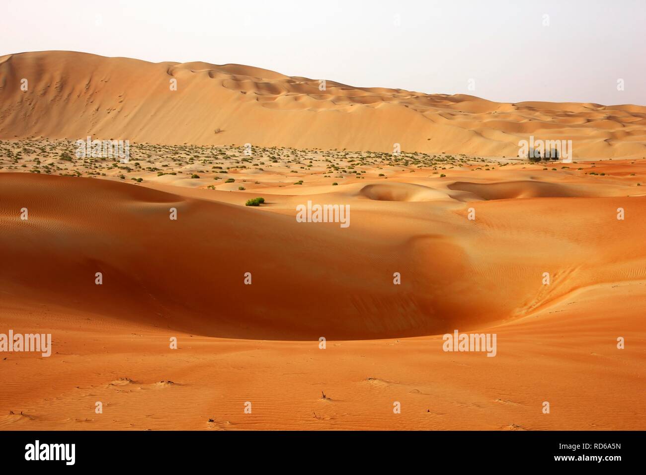 Red sand, dunes that may get over 200 meters high, in the desert Rub'al ...
