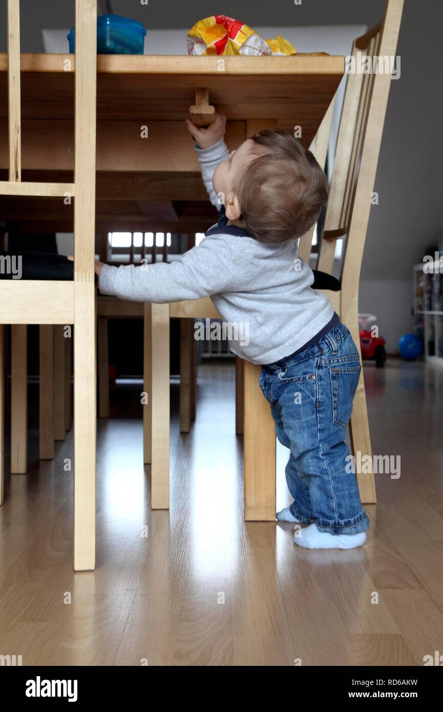 Little boy, 10 months, exploring the apartment, pulling himself up on a ...
