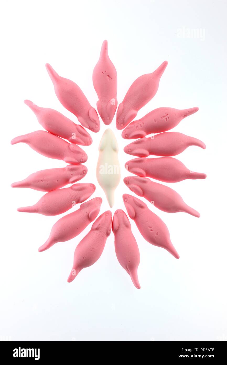 Pink marshmallow mice surrounding a single white mouse Stock Photo - Alamy