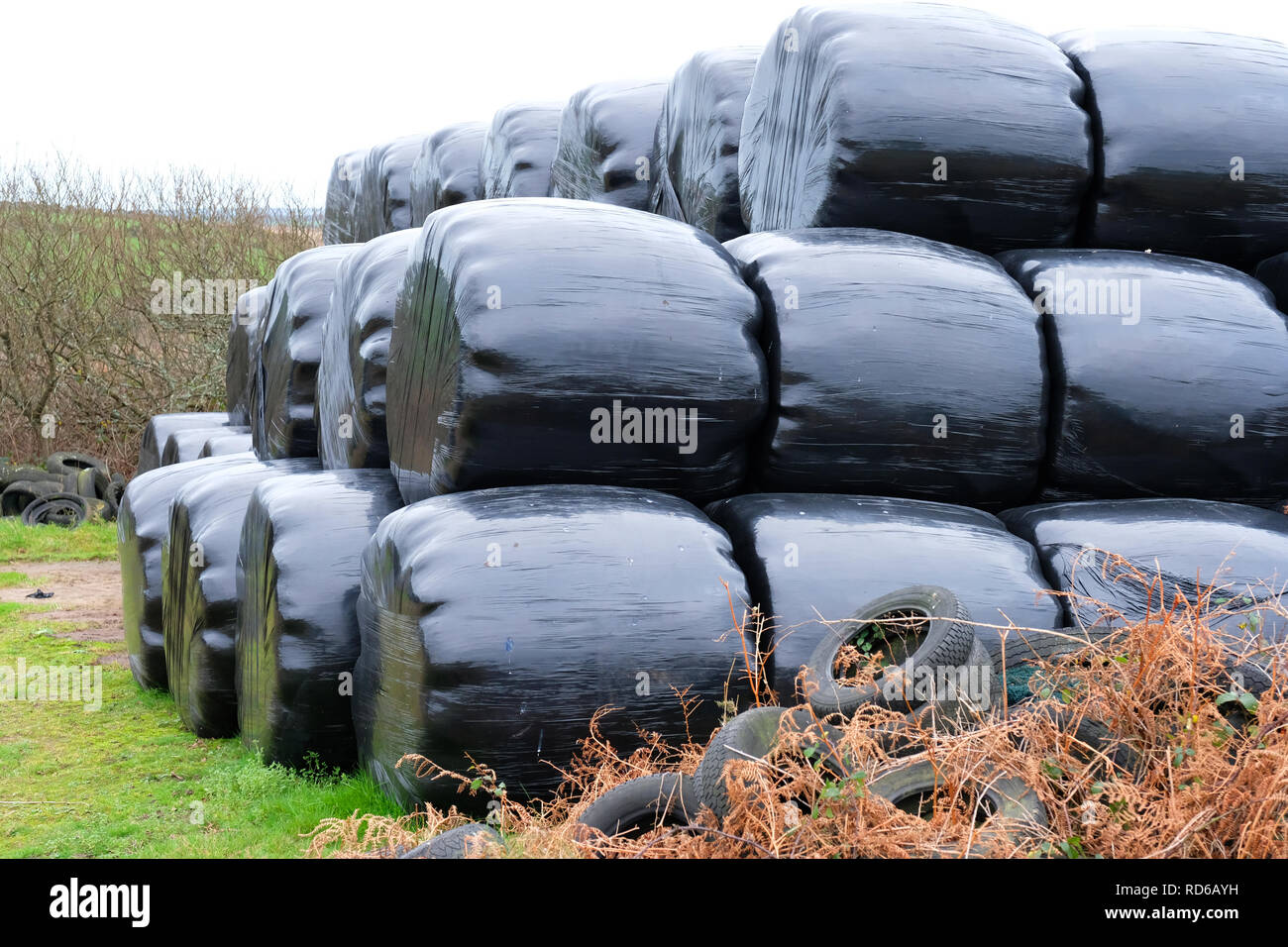 Wrapped bale hi-res stock photography and images - Alamy