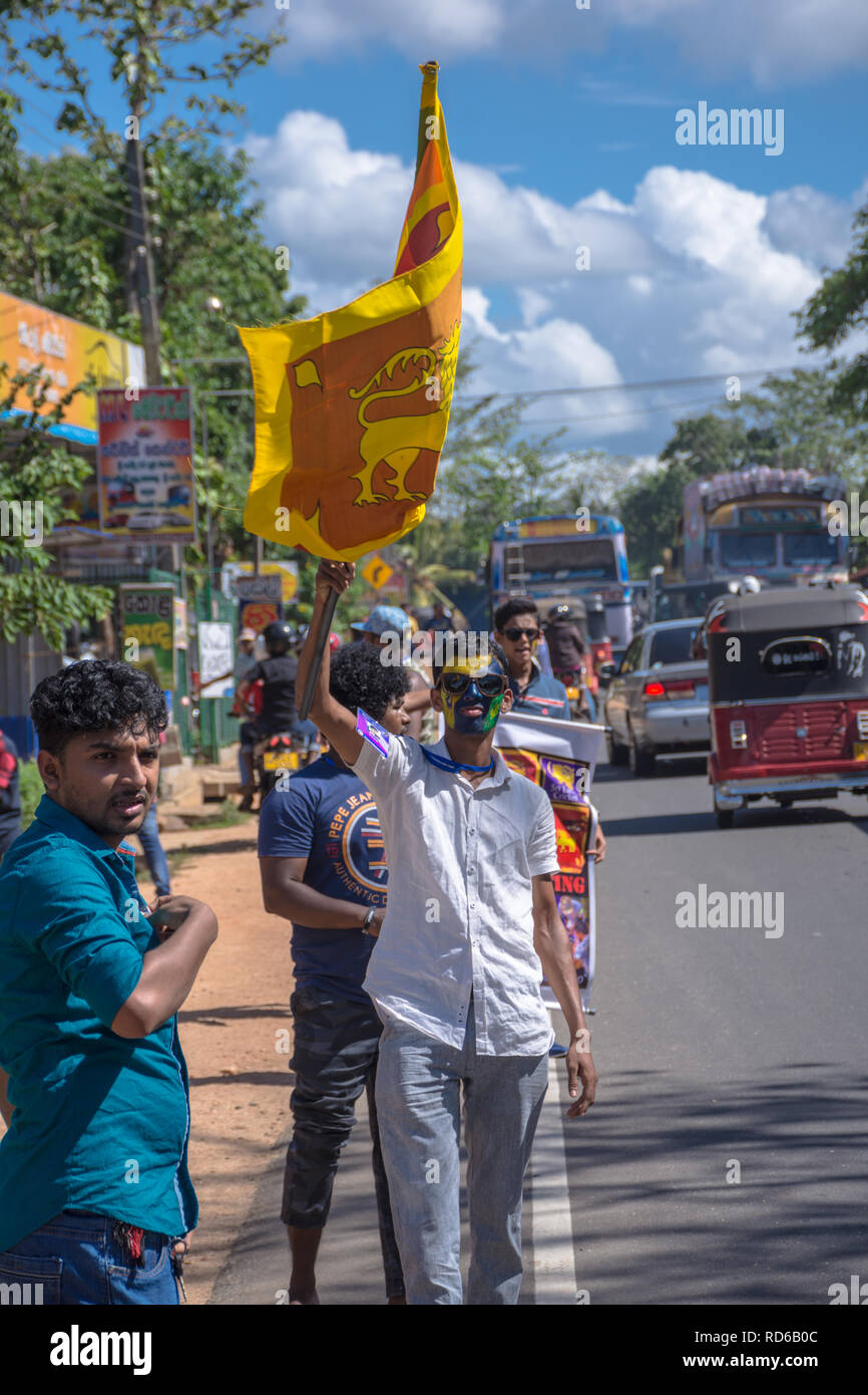 Sri Lankan cricket fan Stock Photo - Alamy
