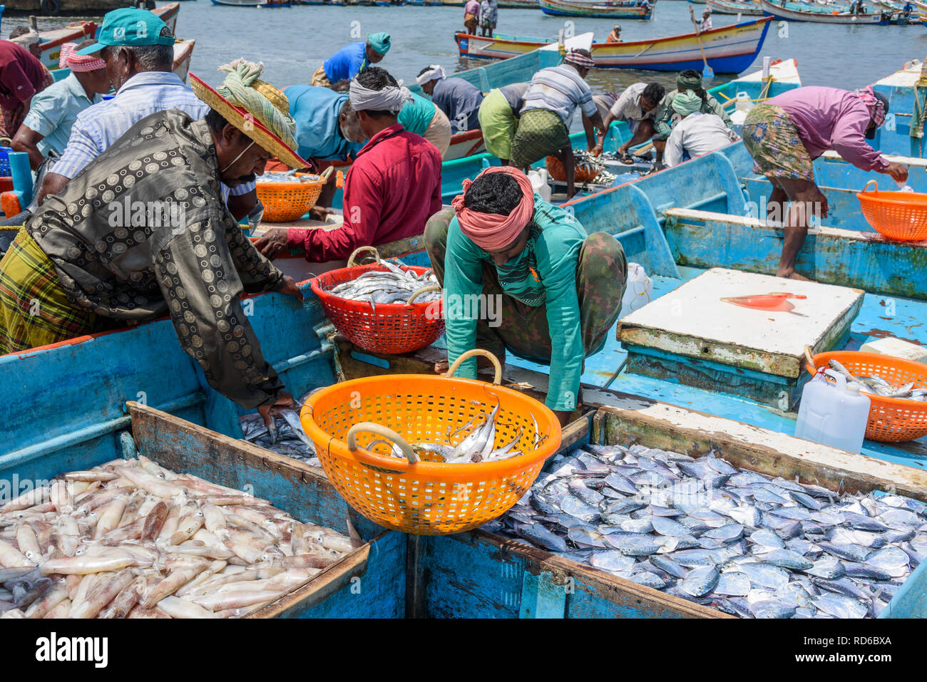 Kerala Fish Market High Resolution Stock Photography and Images - Alamy
