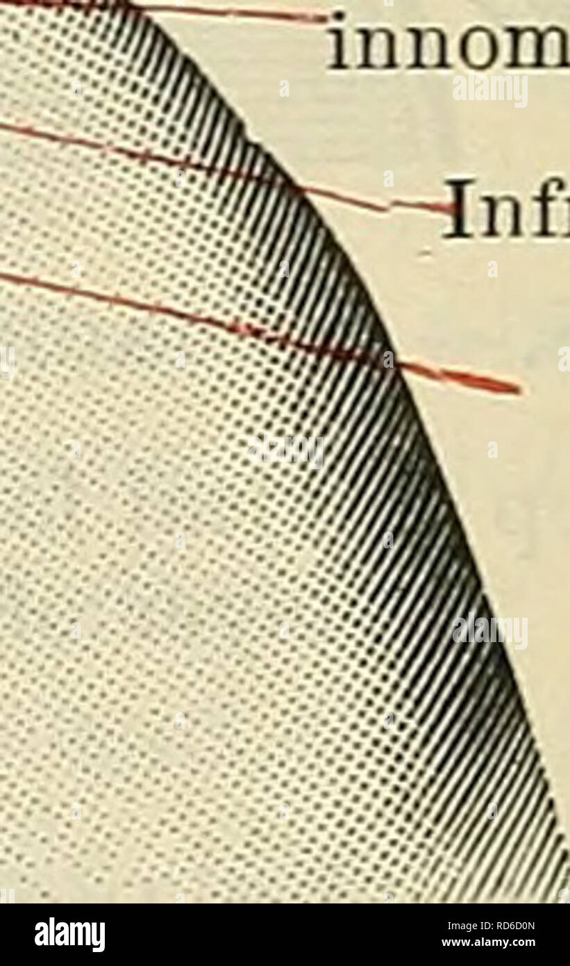 . Cunningham's Text-book of anatomy. Anatomy. ygomatie process of ...