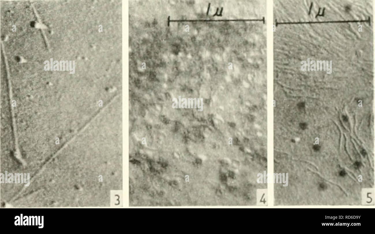 . Electron microscopy; proceedings of the Stockholm Conference ...