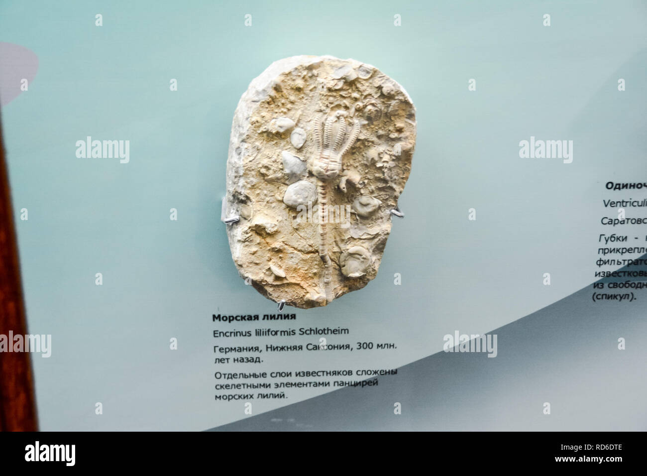 Geological Museum named after Vernadsky, Moscow, Russia - June 11, 2018 ...