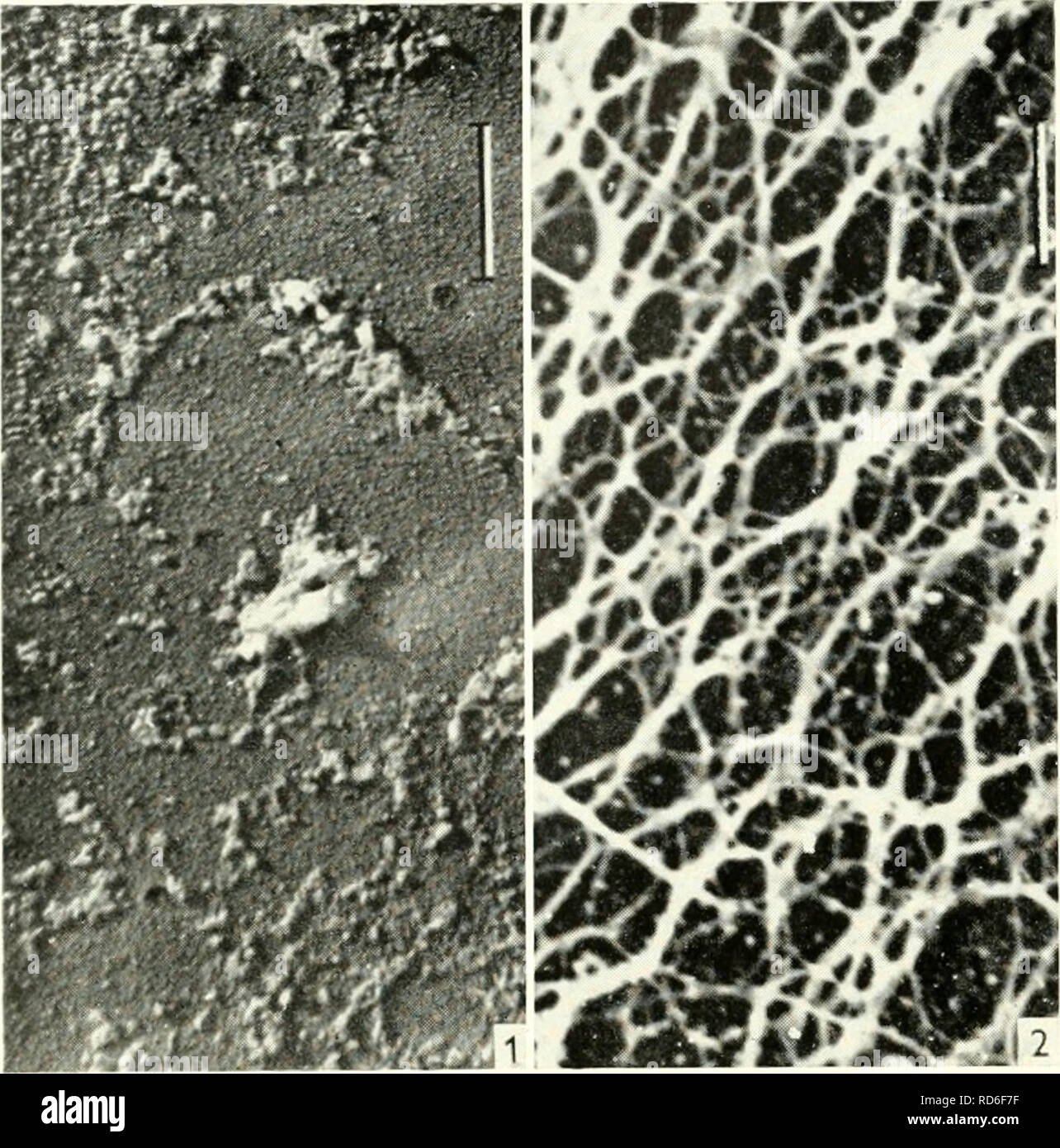 Electron precipitation hi-res stock photography and images - Alamy