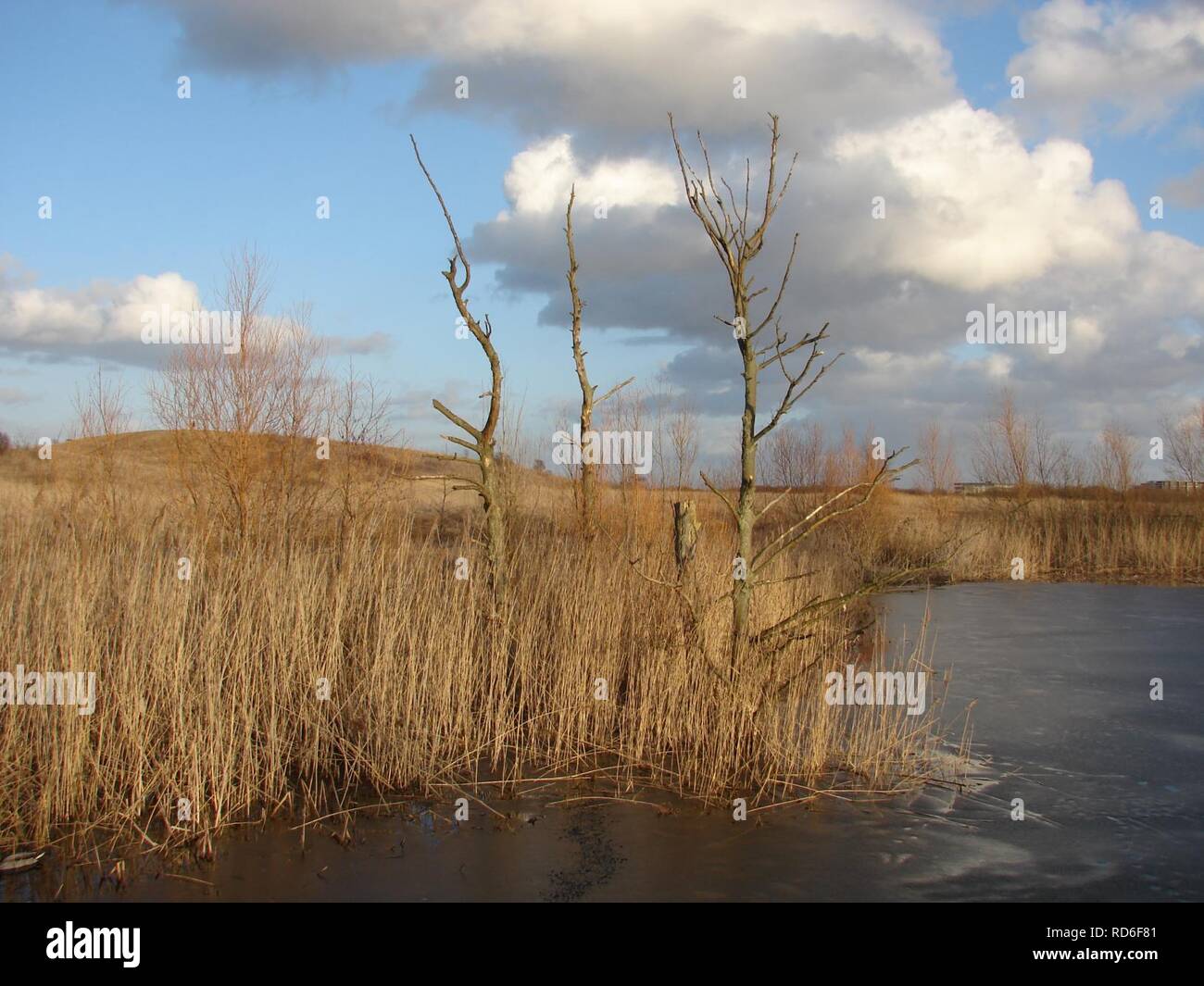 Amager fælled hi-res stock photography and images - Alamy